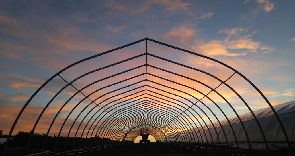 Our Farm | Cookstown Greens | Organic Produce in Toronto and GTA