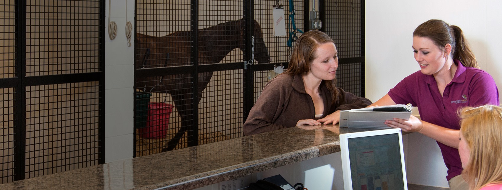 Welcome to Great Lakes Equine