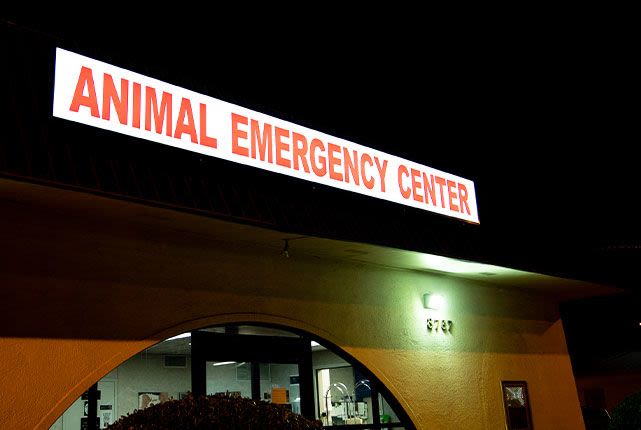 About Animal Emergency Center in Memphis | Open 7 Days a Week